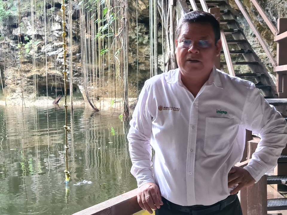 directorio- – SIIDETEY